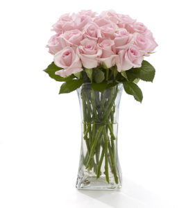 Consegna a domicilio di 21 rose color cipria, Candida Carezza - Puntoflora